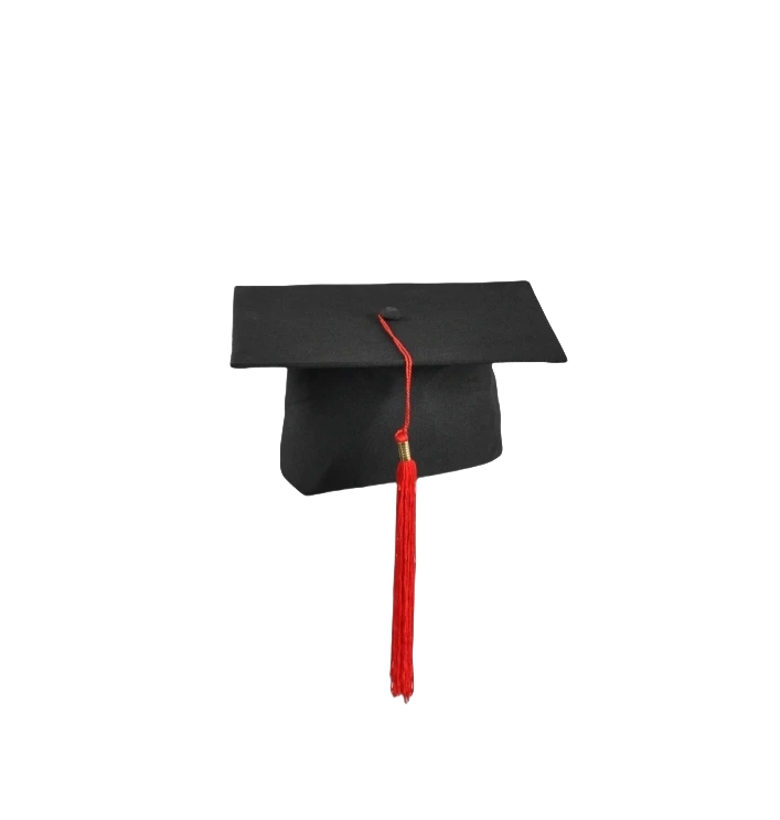 GGC05 Professional customized graduation cap, university graduation ...